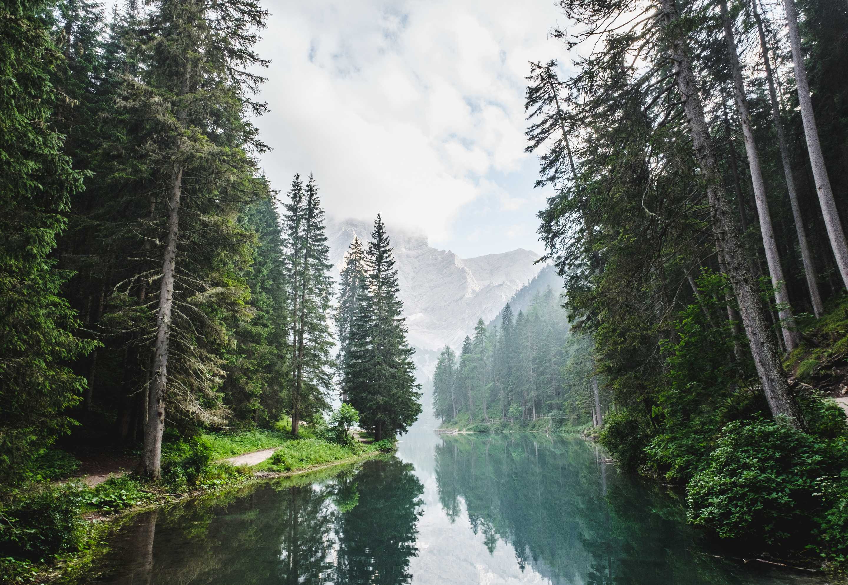 Creating A Component Library For React With Babel 7 And